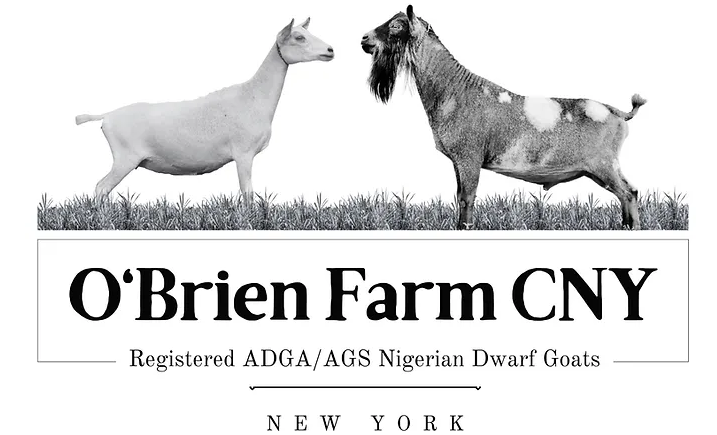 OBrien Farm CNY Farm Shop – O'Brien Farm CNY Farm Shop